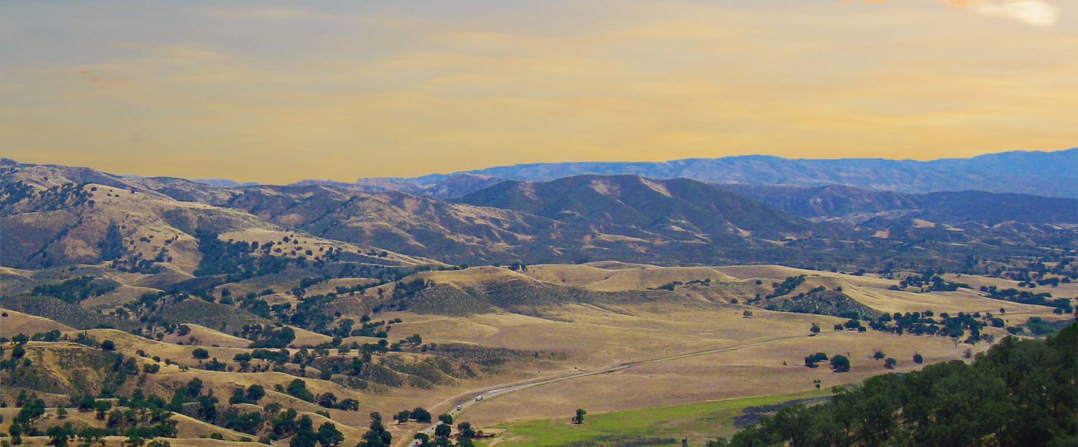 Contact - Hallmark Group